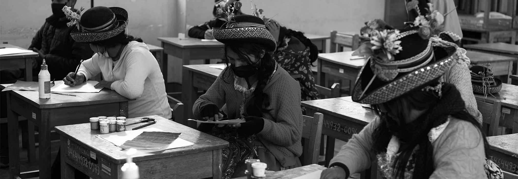 Desafíos Educativos en Puno: Un Análisis de la Evaluación Nacional de ...